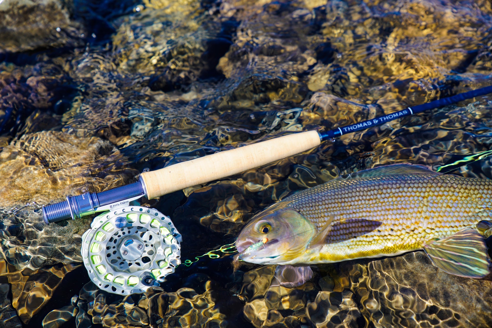 CK Reel Series | Shilton Reels USA